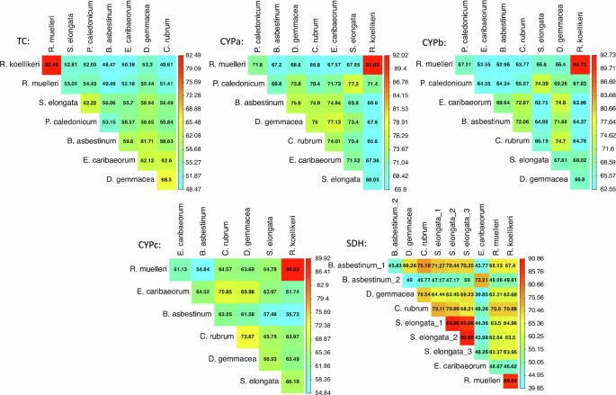 A widespread metabolic gene cluster family in metazoans | Nature ...