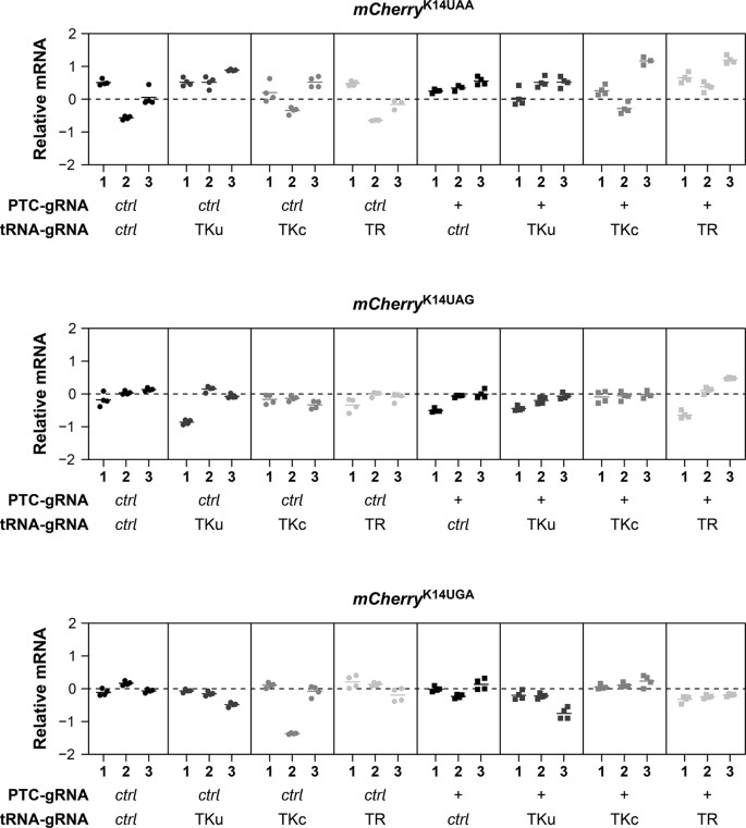 A Ψ–Ψ codon–anticodon pairing in nonsense suppression and translational ...