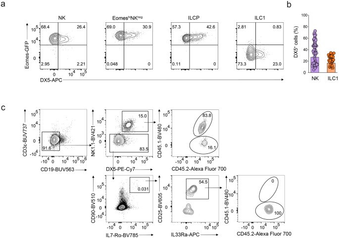 Eomes expression identifies the early bone marrow precursor to ...