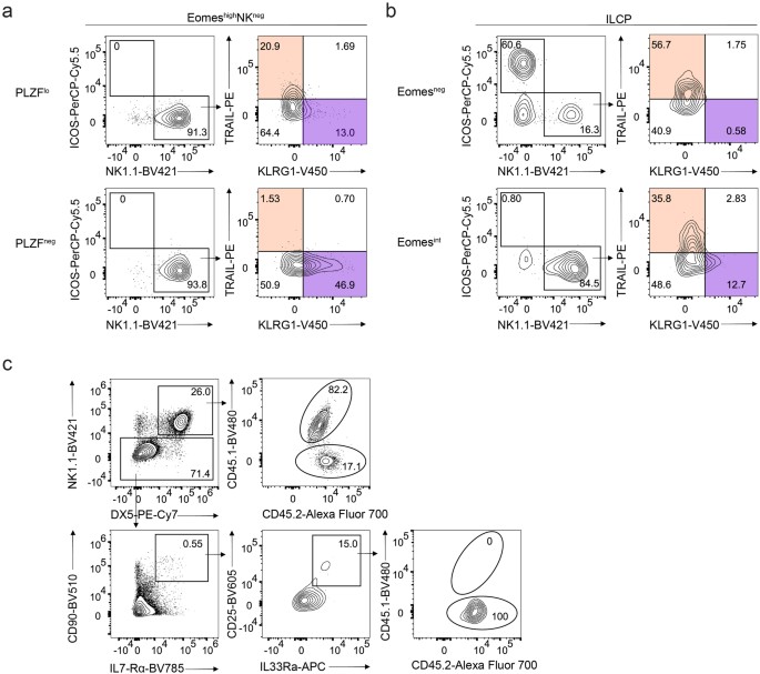 Eomes expression identifies the early bone marrow precursor to ...