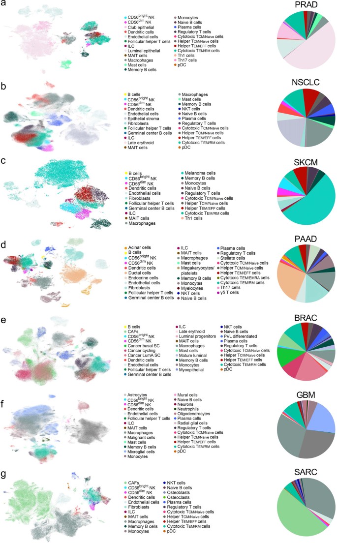 Pan-cancer profiling of tumor-infiltrating natural killer cells through transcriptional ...