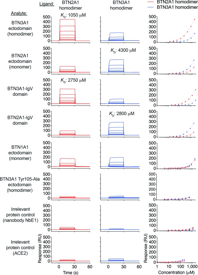Vγ9Vδ2 T cells recognize butyrophilin 2A1 and 3A1 heteromers | Nature ...