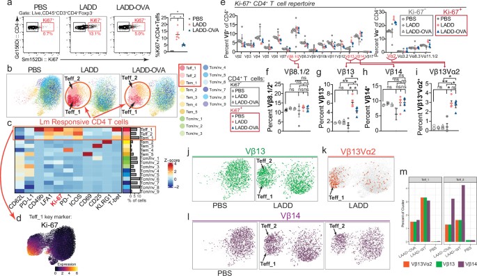 A mass cytometry method pairing T cell receptor and differentiation ...