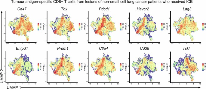 Thrombospondin-1–CD47 signaling contributes to the development of T ...
