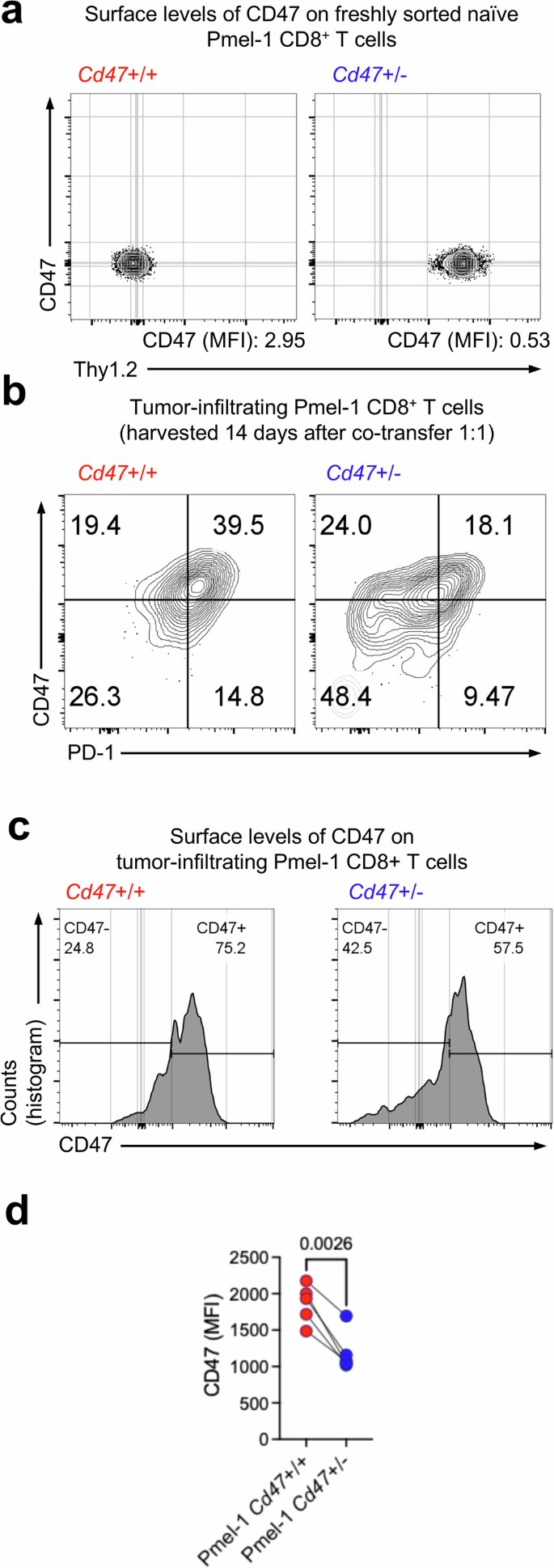 Thrombospondin-1–CD47 signaling contributes to the development of T ...