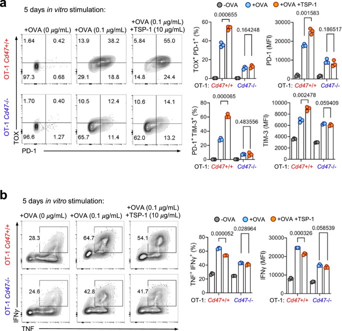 Thrombospondin-1–CD47 signaling contributes to the development of T ...