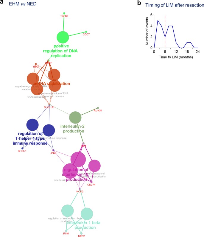 Multi-parametric atlas of the pre-metastatic liver for prediction of ...