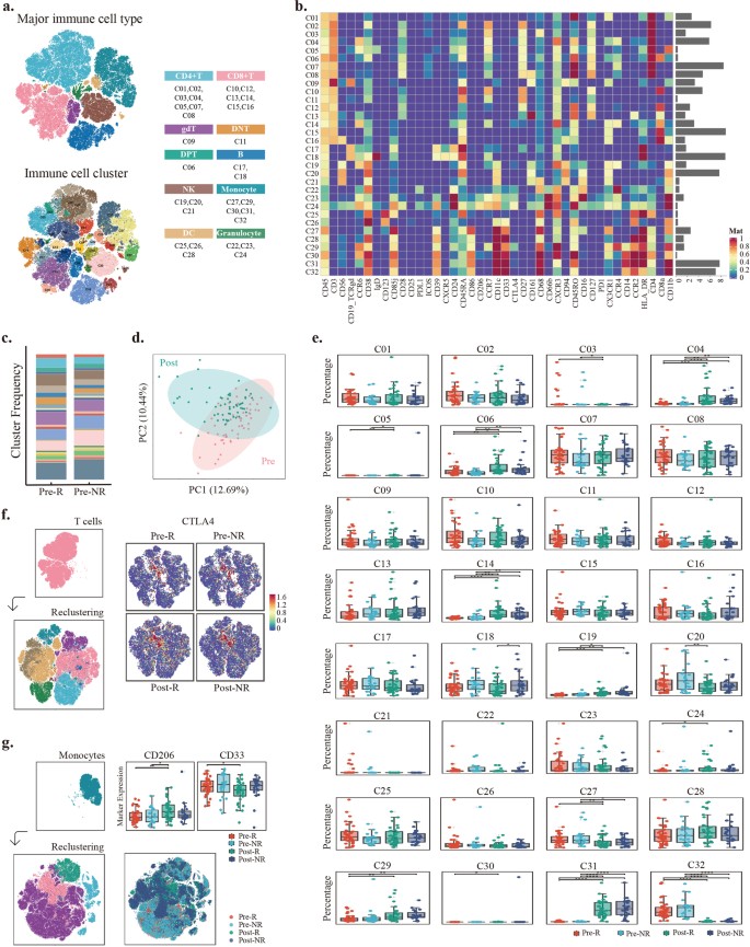 Metronomic chemotherapy plus anti-PD-1 in metastatic breast cancer: a ...