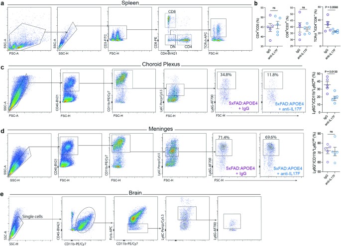 Sex-dependent APOE4 neutrophil–microglia interactions drive cognitive impairment in Alzheimer’s ...