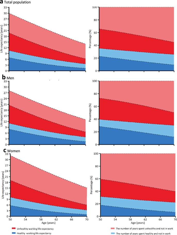 Determinants and inequities in healthy working life expectancy in China ...
