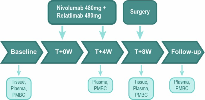 Neoadjuvant nivolumab and relatlimab in locally advanced MMR-deficient ...