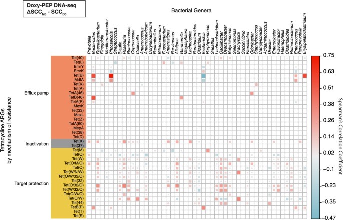 Impact of doxycycline post-exposure prophylaxis for sexually ...