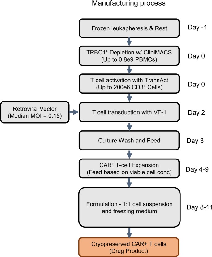 TRBC1-CAR T cell therapy in peripheral T cell lymphoma: a phase 1/2 ...