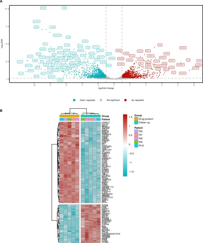 Donor-derived GD2-specific CAR T cells in relapsed or refractory ...