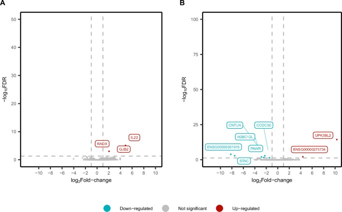 Donor-derived GD2-specific CAR T cells in relapsed or refractory ...