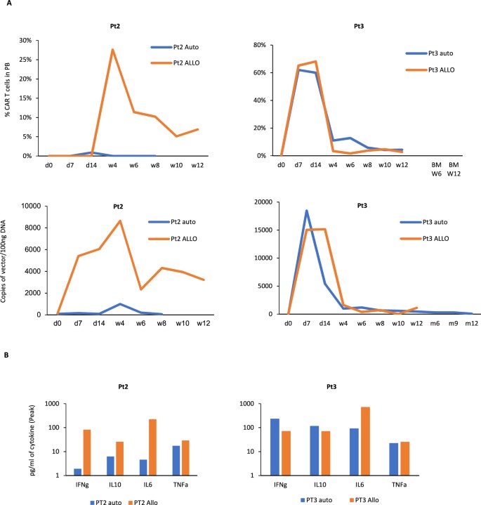 Donor-derived GD2-specific CAR T cells in relapsed or refractory ...