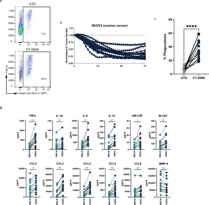 CAR-macrophage therapy for HER2-overexpressing advanced solid tumors: a ...