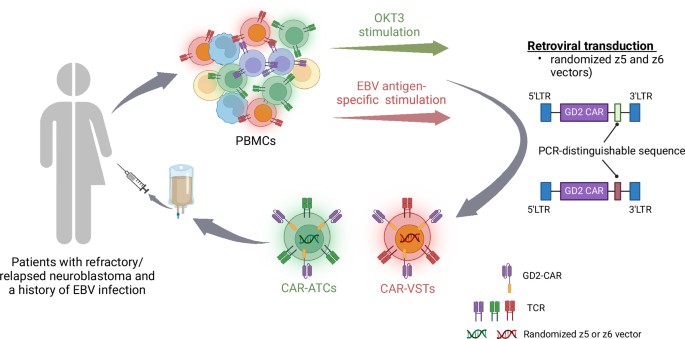 Long-term outcomes of GD2-directed CAR-T cell therapy in patients with ...