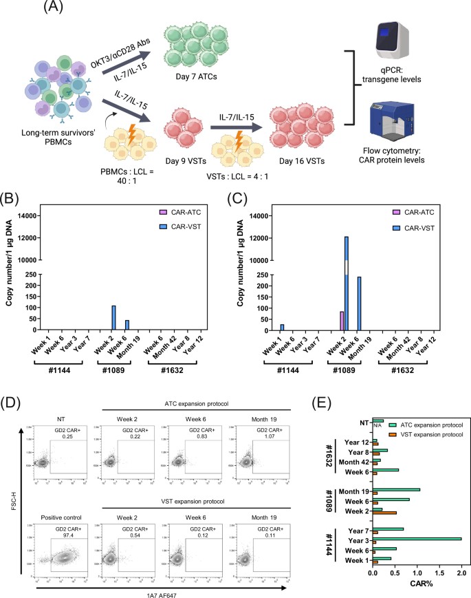 Long-term outcomes of GD2-directed CAR-T cell therapy in patients with ...