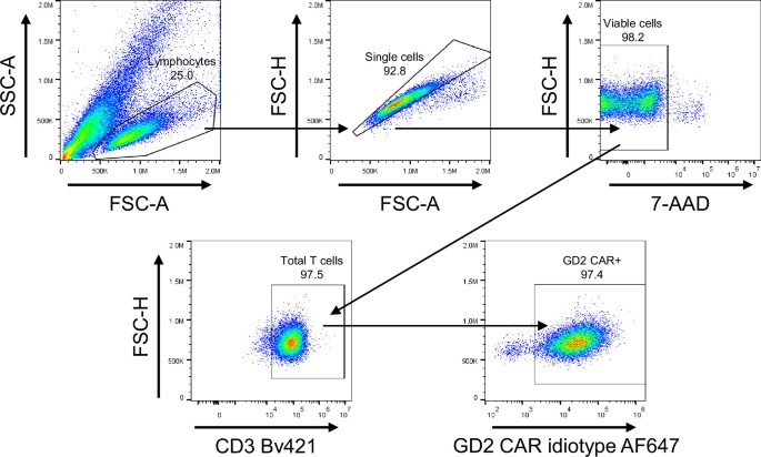 Long-term outcomes of GD2-directed CAR-T cell therapy in patients with ...
