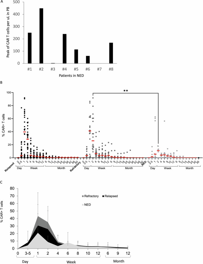 GD2-targeting CAR T cells in high-risk neuroblastoma: a phase 1/2 trial ...