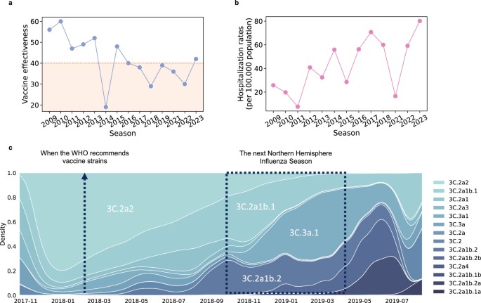 Influenza vaccine strain selection with an AI-based evolutionary and ...