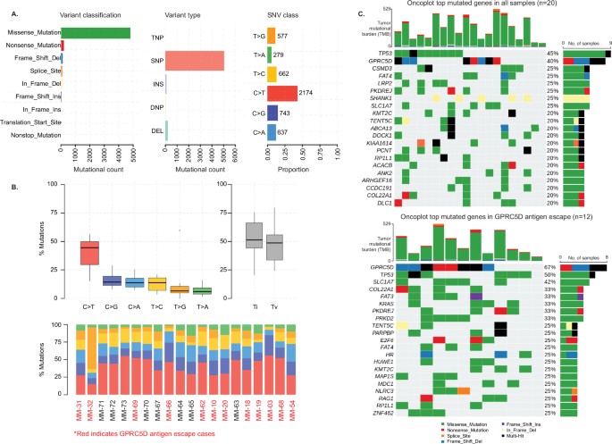 Multimodal antigenic escape to GPRC5D-targeted T cell engagers in ...