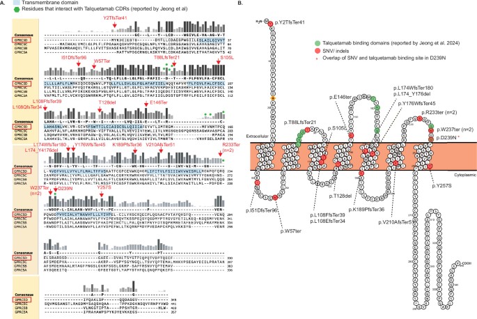 Multimodal antigenic escape to GPRC5D-targeted T cell engagers in ...