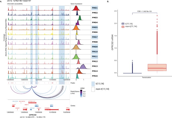 Multimodal antigenic escape to GPRC5D-targeted T cell engagers in ...