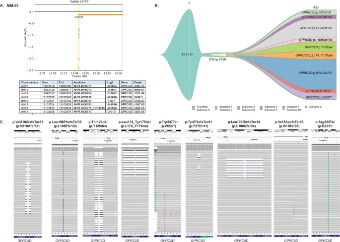 Multimodal antigenic escape to GPRC5D-targeted T cell engagers in ...