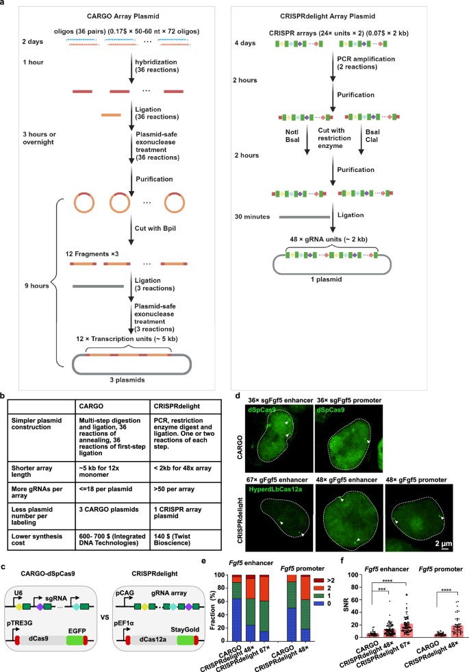 CRISPR-array-mediated imaging of non-repetitive and multiplex genomic ...