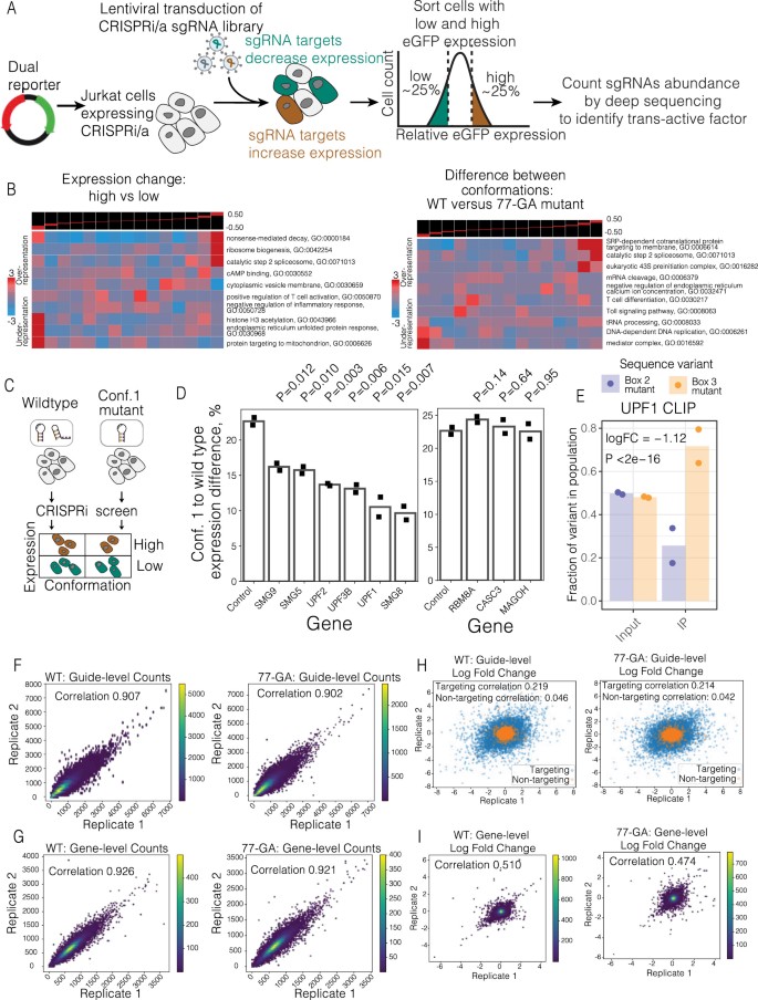 A systematic search for RNA structural switches across the human ...