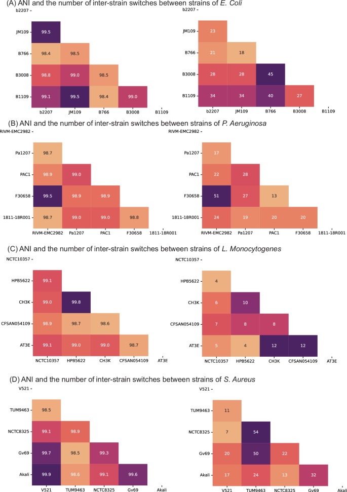 Strainy: phasing and assembly of strain haplotypes from long-read ...