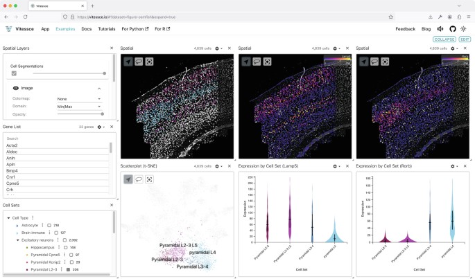 Vitessce: integrative visualization of multimodal and spatially ...