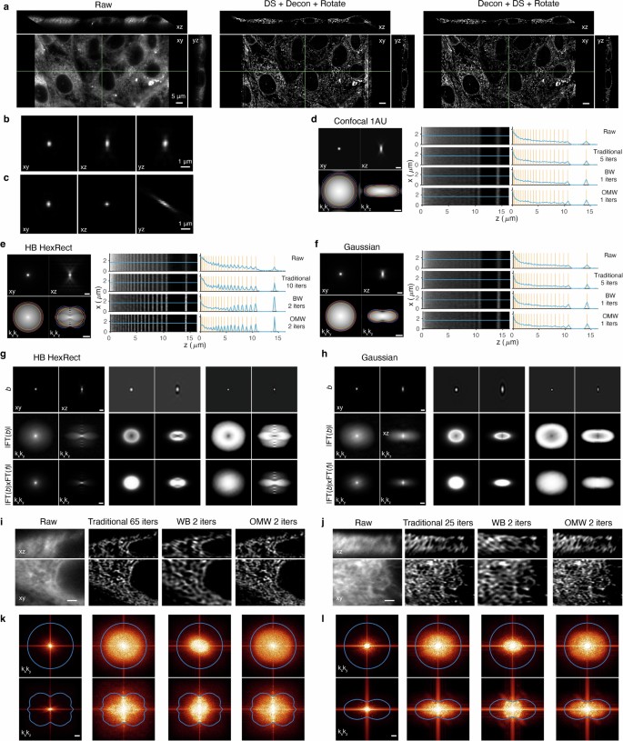 Image processing tools for petabyte-scale light sheet microscopy data ...