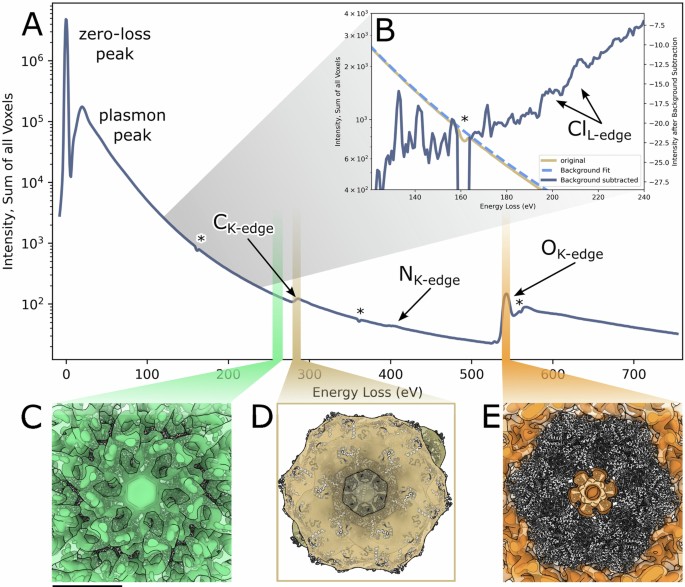 Elemental mapping in single-particle reconstructions by reconstructed ...