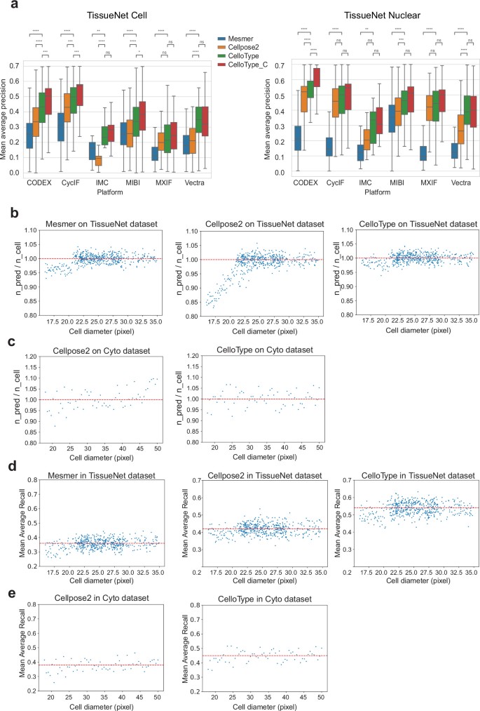 CelloType: a unified model for segmentation and classification of tissue images | Nature Methods