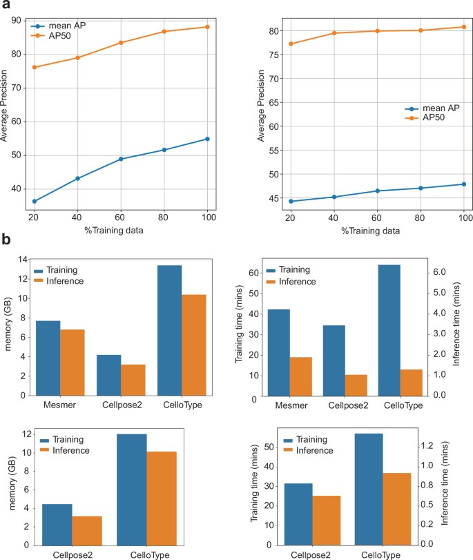 CelloType: a unified model for segmentation and classification of tissue images | Nature Methods