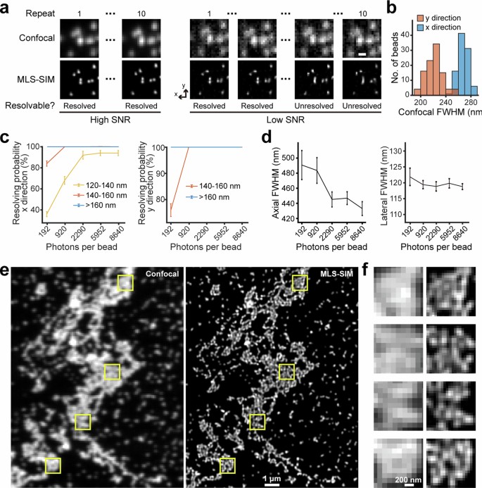 Super-resolution imaging of fast morphological dynamics of neurons in ...