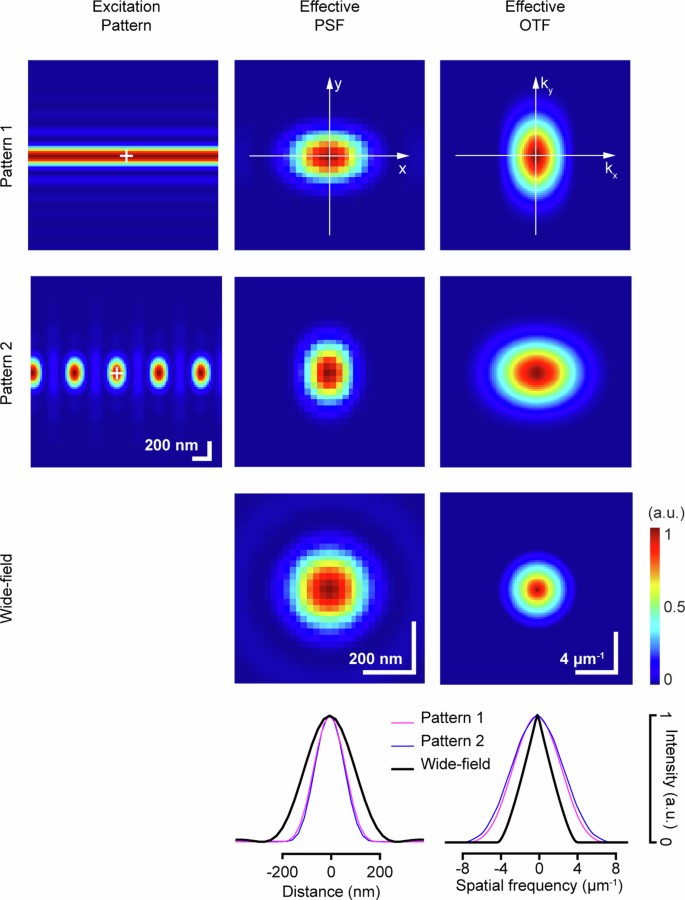Super-resolution imaging of fast morphological dynamics of neurons in ...