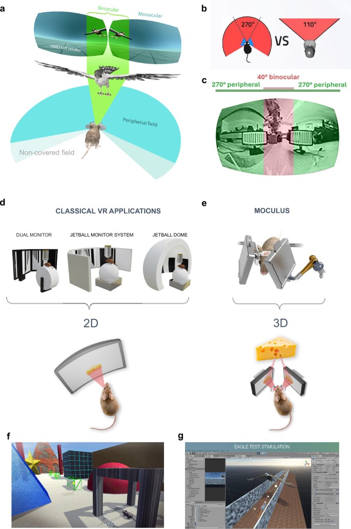 Moculus: an immersive virtual reality system for mice incorporating ...