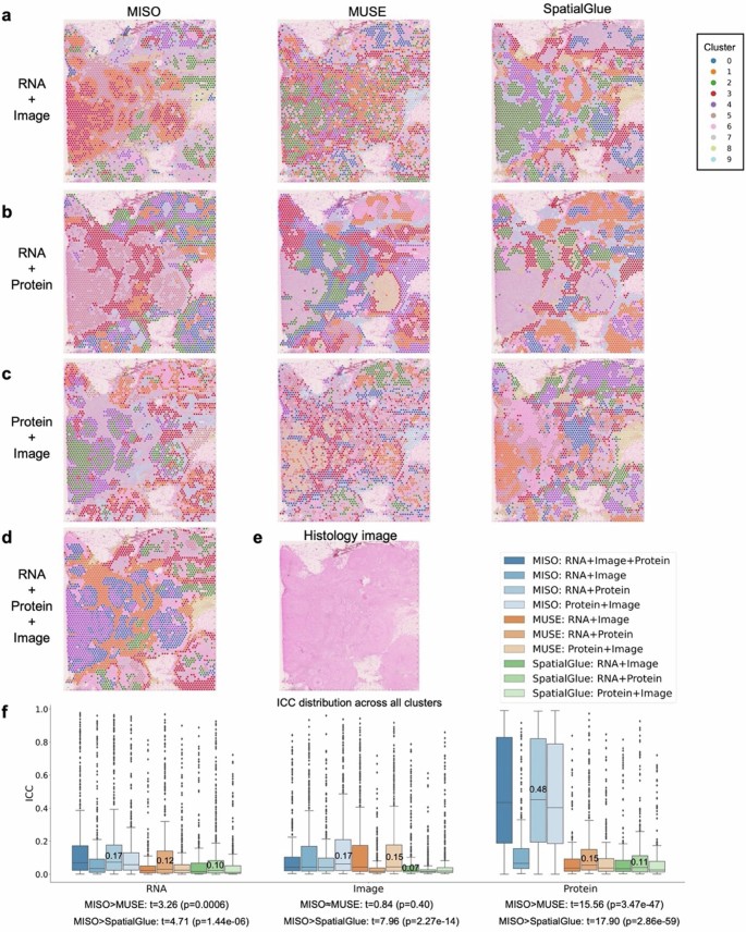 Resolving tissue complexity by multimodal spatial omics modeling with ...