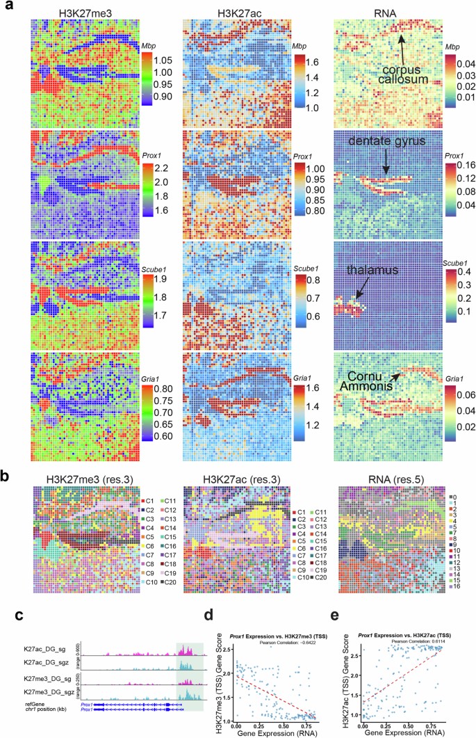 Multiplexed spatial mapping of chromatin features, transcriptome and ...