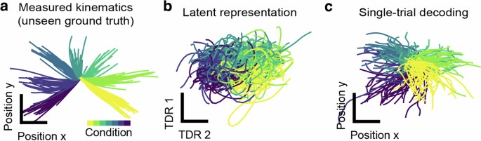 MARBLE: interpretable representations of neural population dynamics using geometric deep ...