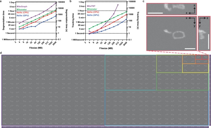 Nellie: automated organelle segmentation, tracking and hierarchical feature extraction in 2D/3D ...