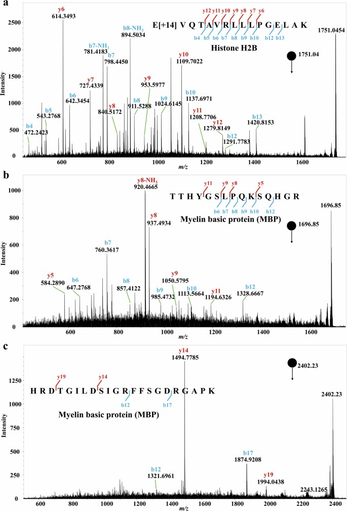 TEMI: tissue-expansion mass-spectrometry imaging | Nature Methods
