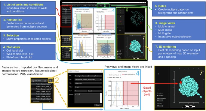 Digitalized organoids: integrated pipeline for high-speed 3D analysis ...