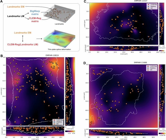 CLEM-Reg: an automated point cloud-based registration algorithm for ...