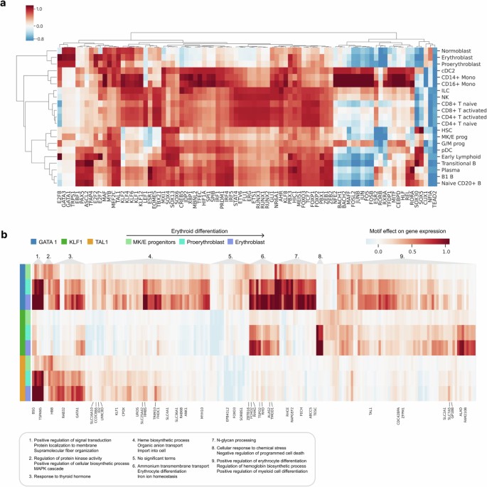 scooby: modeling multimodal genomic profiles from DNA sequence at single-cell resolution ...