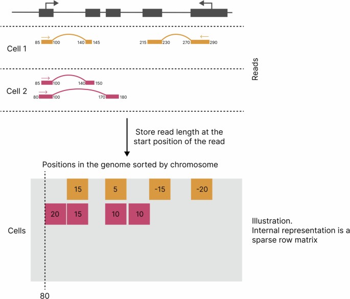 scooby: modeling multimodal genomic profiles from DNA sequence at ...